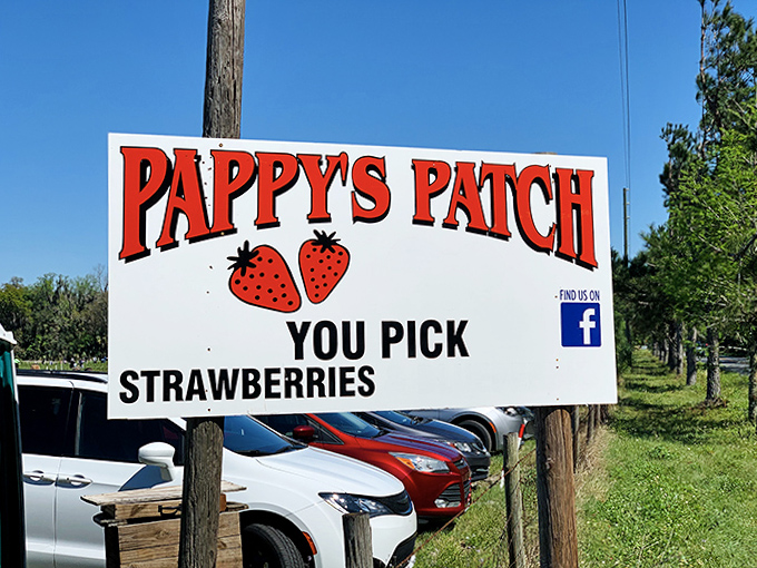 The gateway to berry bliss &ndash; Pappy's Patch welcomes visitors with the simple promise of strawberry perfection.