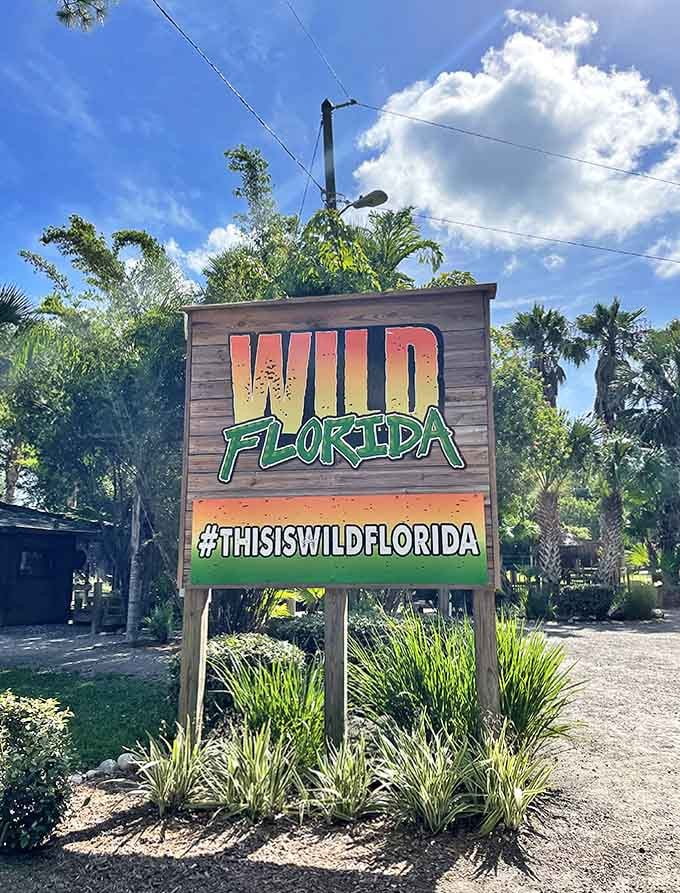 Bold colors announce your arrival at a place where hashtags meet actual habitat &ndash; social media worthy, but with substance behind the style.