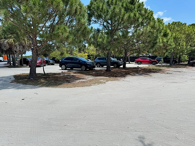 Shaded parking provides a cool starting point for your preserve adventure. From asphalt to wilderness in just a few steps!