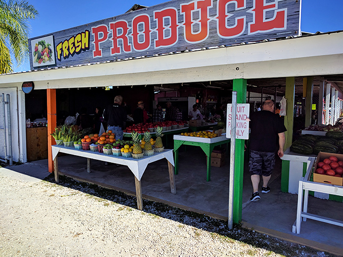 Fresh Florida produce adds vibrant color to the market experience, a healthy counterpoint to the day's vintage hunting.