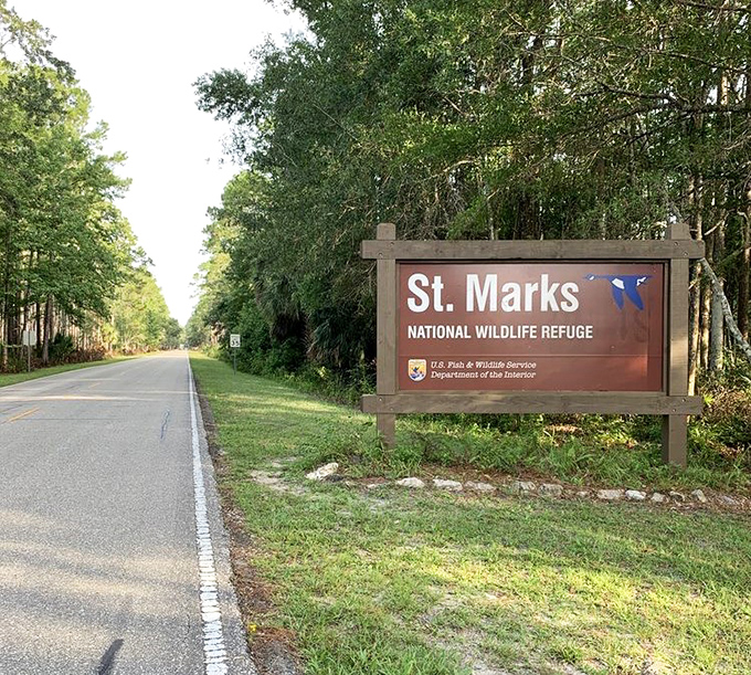 The unassuming entrance sign promises wild adventures beyond. No roller coasters, just nature's thrilling unpredictability ahead.
