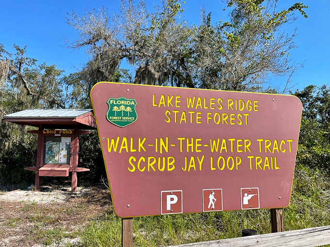 The welcoming sign marks the entrance to a world where Florida's only endemic bird species awaits your visit.