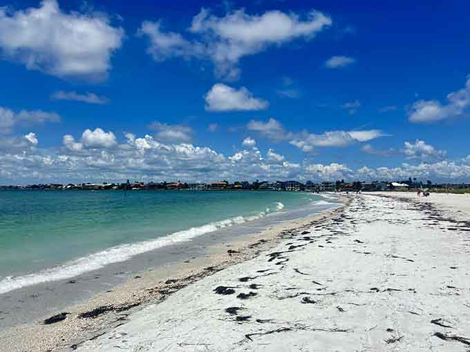 Miles of untouched beach stretch into the distance, proving that Florida still has wild places where nature writes the rules.