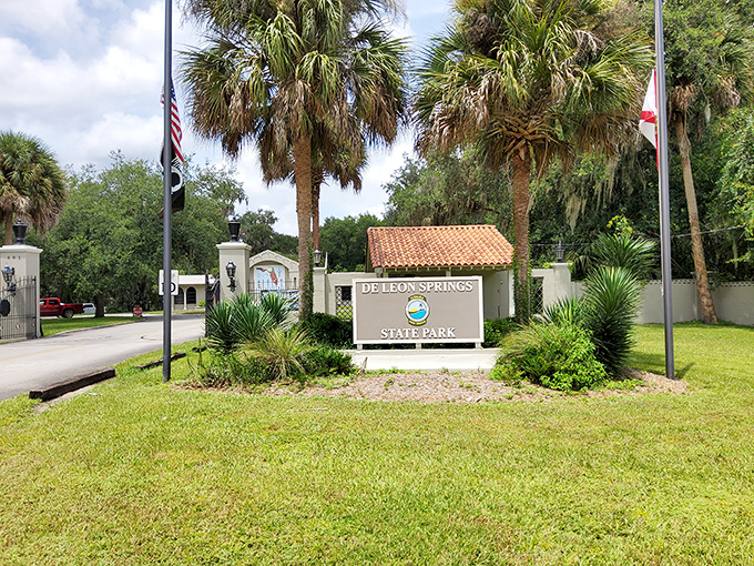 The gateway to adventure! DeLeon Springs' entrance sign promises natural Florida magic beyond those palm-flanked pillars.