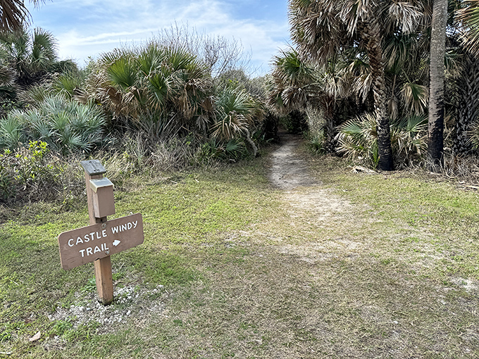 Castle Windy Trail announces itself with understated confidence, beckoning curious souls into a Florida few tourists ever discover.
