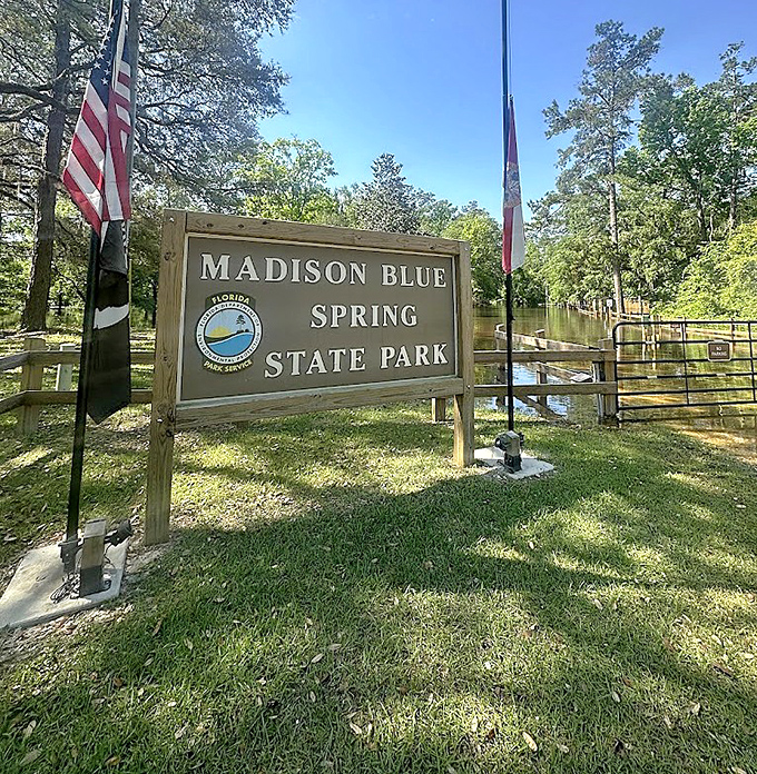 Signage: The official welcome to one of Florida's best-kept secrets, where natural wonders await just beyond this unassuming wooden sign.