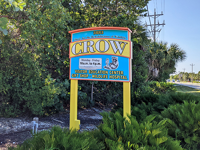 The roadside sign stands as a beacon of hope for injured wildlife and curious humans alike – Florida's version of the bat signal.
