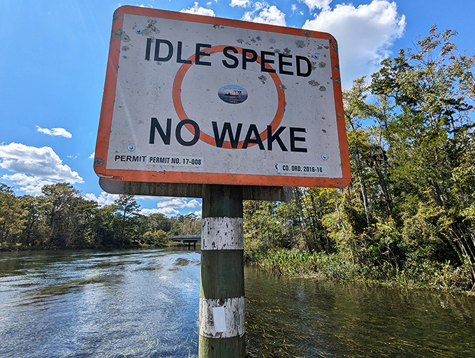 "Idle Speed, No Wake" &ndash; not just a boating regulation, but excellent life advice for experiencing the Wakulla River properly.