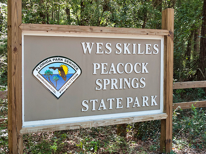 This unassuming sign marks the threshold to adventure, where Florida's limestone heart reveals its liquid secrets to those who seek them.