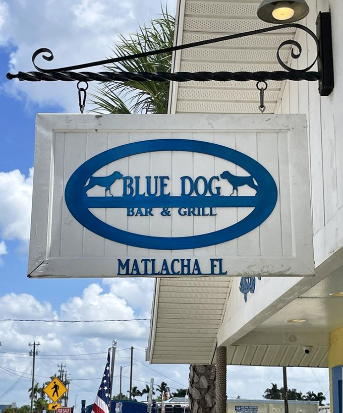 The iconic Blue Dog sign swings gently in the Gulf breeze &ndash; a beacon for seafood lovers who know the real Florida.