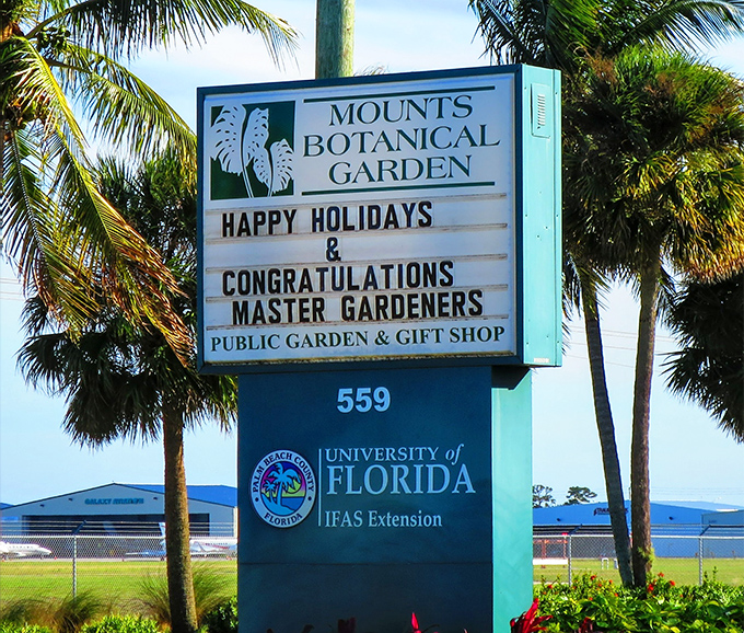 The welcoming sign stands tall among palm trees, a portal to botanical adventures that await just beyond the parking lot.