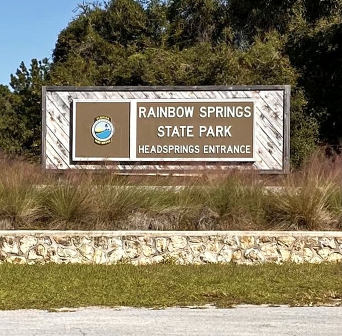 The entrance sign: your official welcome to the place where "I'm bored" gets permanently deleted from everyone's vocabulary.