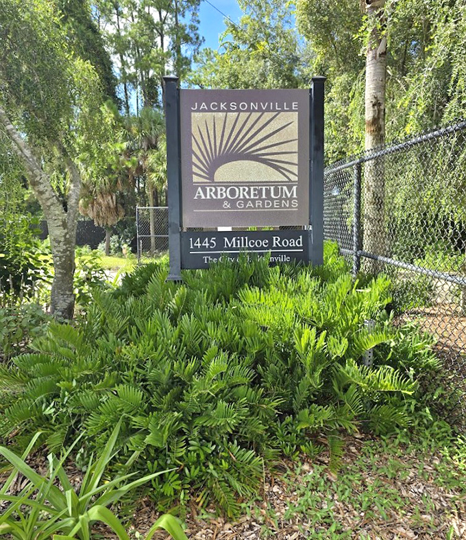 The entrance sign promises botanical adventures beyond &ndash; like a doorway to Narnia, but with fewer talking animals and more informative placards.
