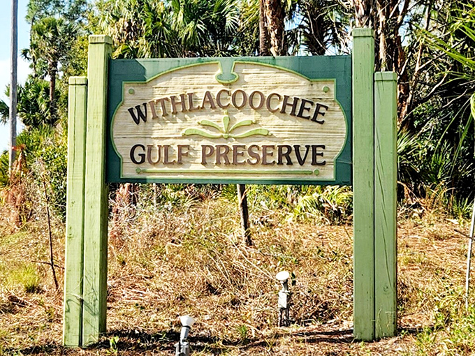 Gateway to wilderness: This unassuming entrance sign marks the threshold between ordinary life and natural wonder.