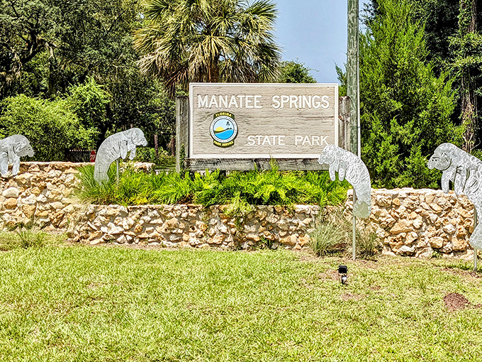Your official welcome to wonder &ndash; this entrance sign marks the boundary between ordinary life and extraordinary natural magic.