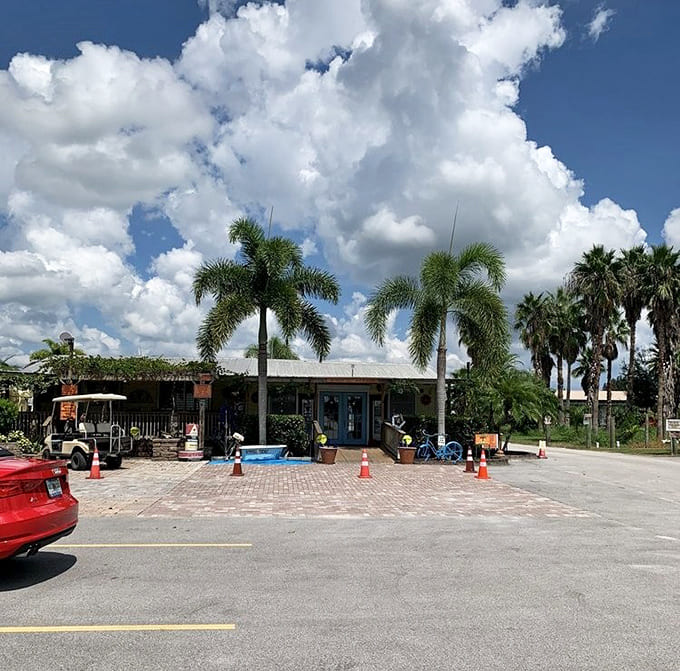 The outdoor setting captures everything magical about Florida afternoons: sunshine, palm trees, and the promise of good wine with great company.