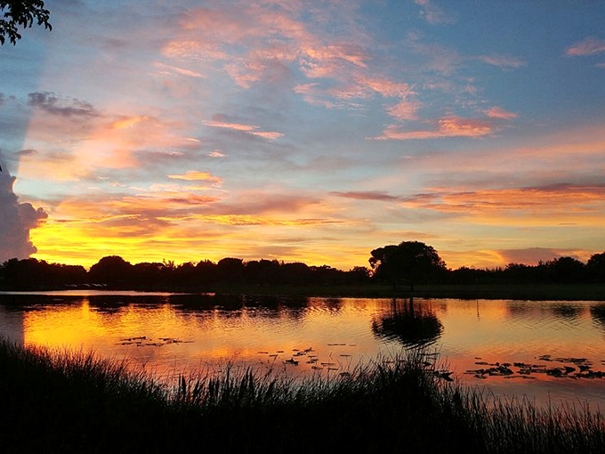Nature's grand finale &ndash; a Markham Park sunset transforms the lake into liquid gold, proving that the best shows don't require tickets.