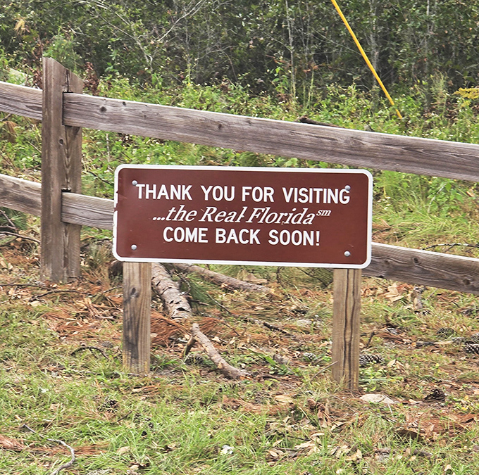 The farewell sign speaks truth – once you've experienced "the Real Florida," those theme park attractions suddenly seem a bit too... manufactured.