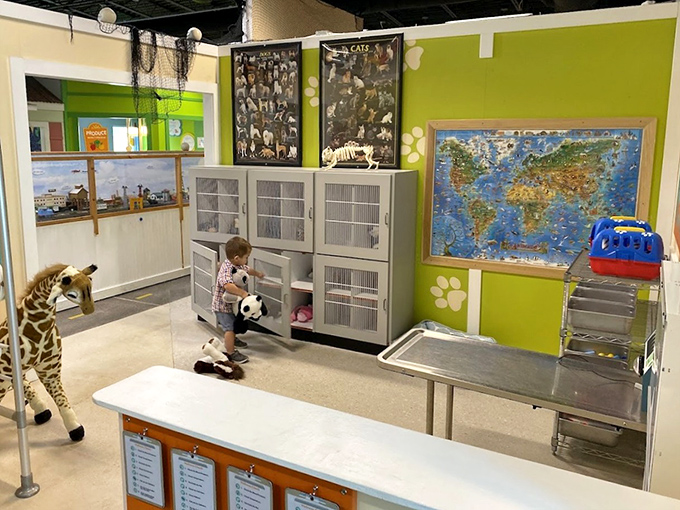 Future veterinarians diagnose stuffed patients with care and compassion in this detailed animal hospital play area.
