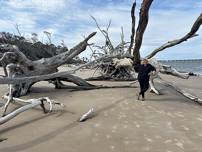 A visitor finds perspective among the massive driftwood sculptures, providing scale to these gentle giants of the shoreline.