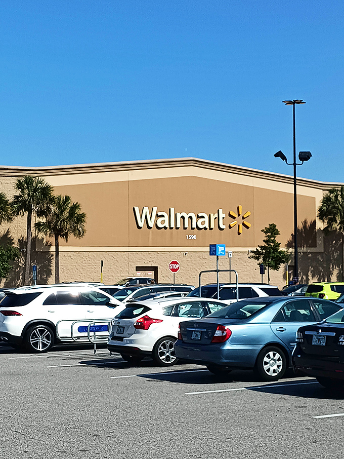 Even Walmart gets the Florida treatment with palm trees standing sentinel in the parking lot &ndash; convenience with a tropical twist.