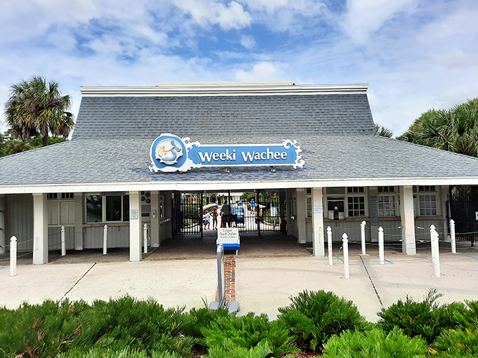 Gateway to wonder &ndash; the Weeki Wachee Springs State Park entrance welcomes visitors to a world where mermaids swim and springs whisper ancient secrets.