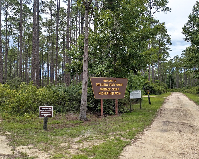 The unassuming entrance to Womack Creek Recreation Area &ndash; where Florida's wild heart beats strongest and Tate's legacy lives on.