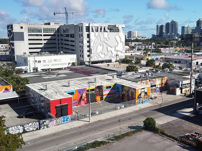 From above, Wynwood's artistic takeover becomes clear &ndash; a patchwork of creative expression that's transformed an entire neighborhood into a living canvas.
