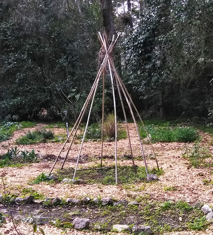 Growing imagination: This simple teepee structure supports climbing plants while creating a magical hideaway that children instinctively understand.