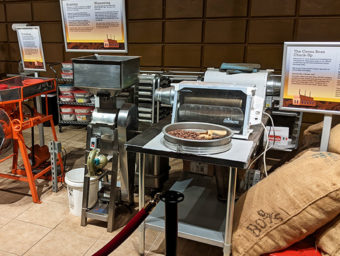 The alchemy of chocolate-making revealed: these machines transform humble cacao beans into the food of gods while visitors drool appreciatively.