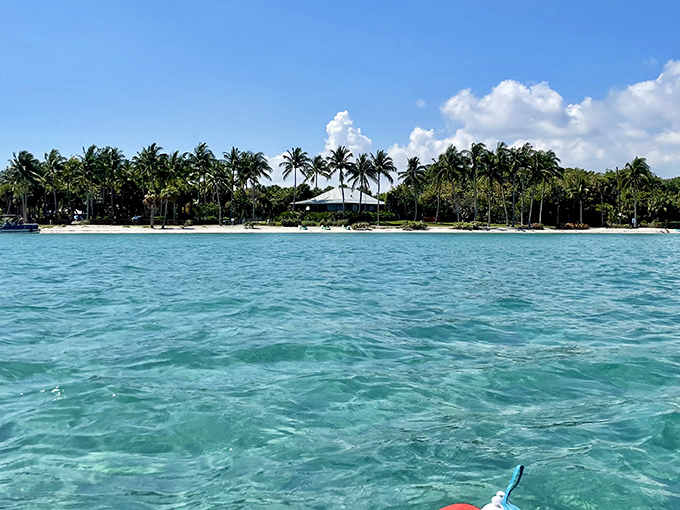 Postcard-perfect waters beckon swimmers into the gentle embrace of the Gulf, where visibility rivals the finest Caribbean coves.