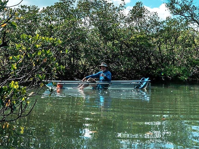 A clear kayak offers paddlers a unique perspective on the underwater world, turning an ordinary boat ride into an aquarium experience.