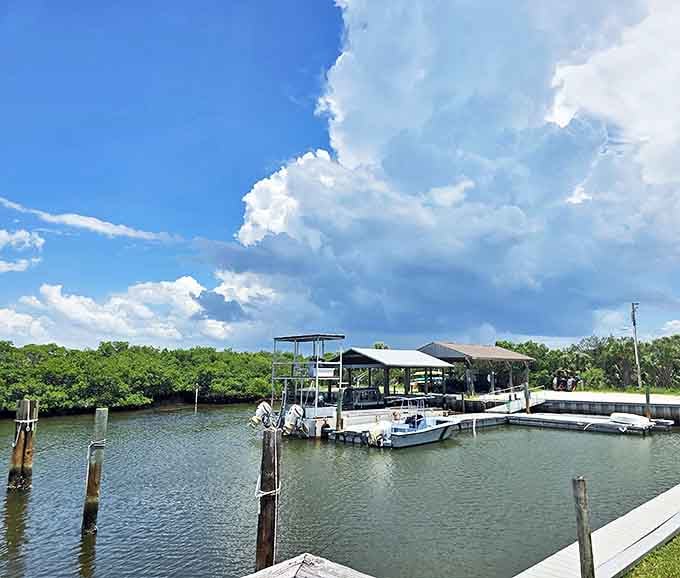 The marina awaits adventurers returning from island explorations, boats bobbing gently like nodding approval of your day's choices.