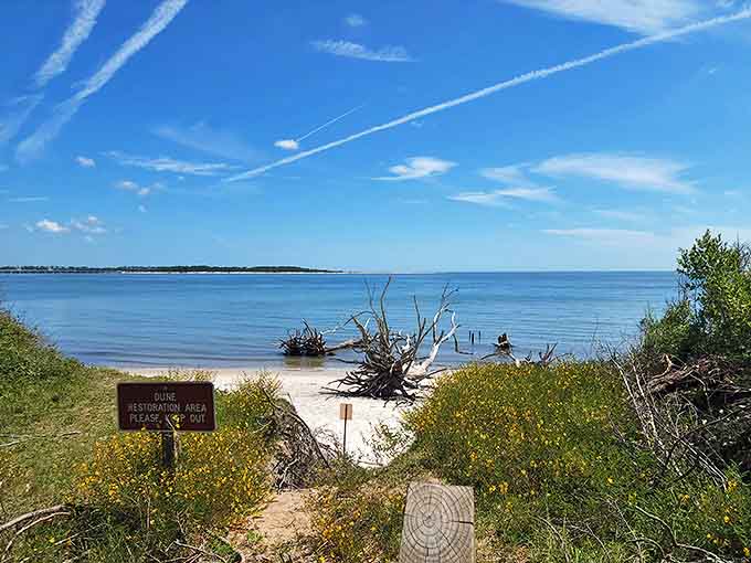 Wildflowers frame the path to hidden beach treasures, nature's gentle reminder to stay on designated trails.