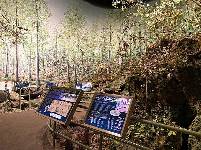 Florida's natural habitats recreated in stunning detail &ndash; where visitors can experience swamp life without the mosquitoes or need for rubber boots.