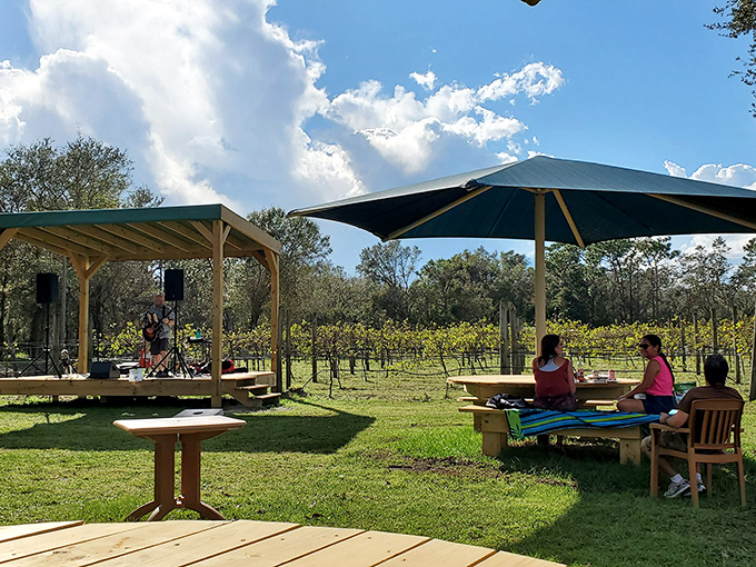 Live music under Florida skies with wine in hand &ndash; proving that sometimes the best entertainment doesn't require tickets, just a good pour and open ears.