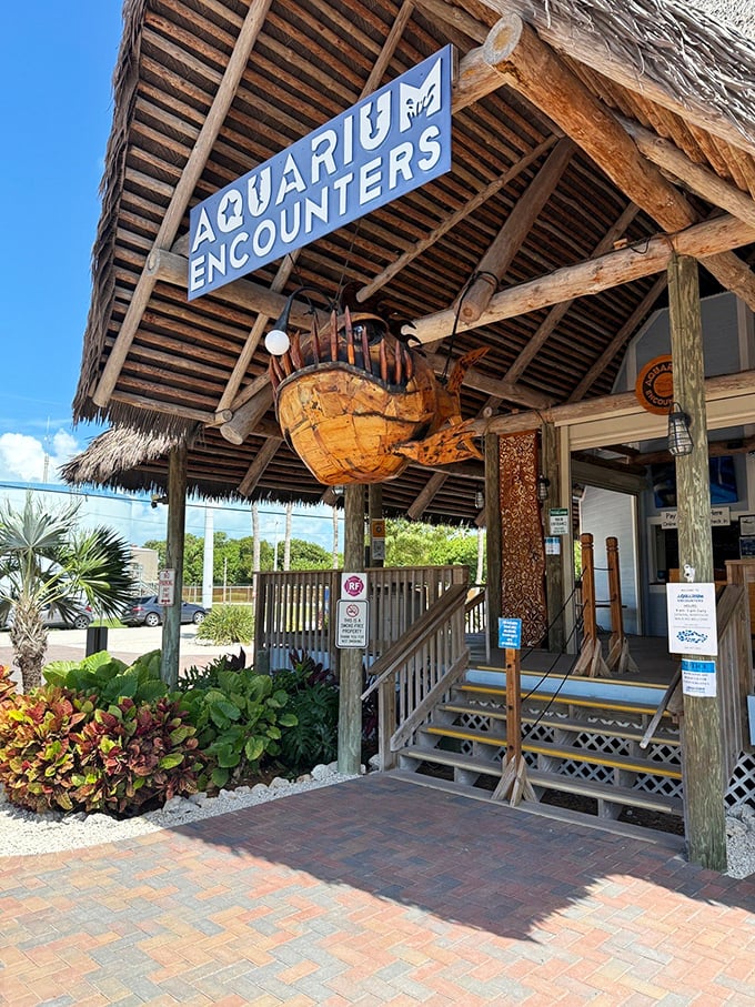 The welcoming entrance to Aquarium Encounters invites passersby to step into a world where marine life and humans connect.