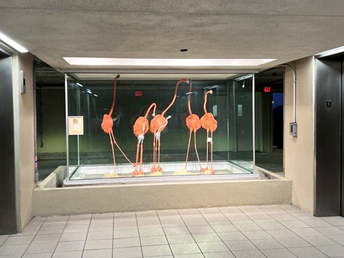 Even the flamingo sculptures seem more animated than our perpetually resting traveler &ndash; Florida wildlife in perpetual pink parade.