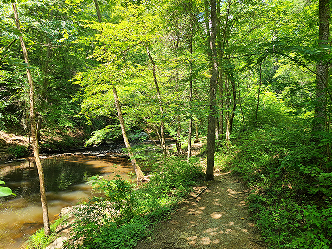 A serene forest path leads adventurers to and from the ruins, the journey as contemplative as the destination.
