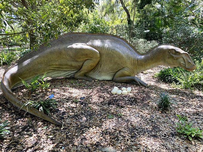 This hadrosaur looks surprisingly at home among the native plants, as if it's been waiting 65 million years for someone to notice.