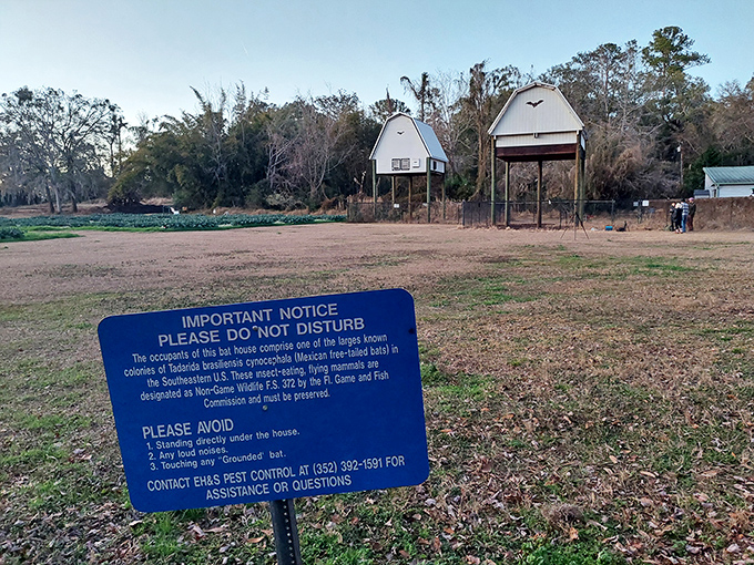 This important notice reminds visitors to respect the bats' space &ndash; they're working the night shift so we can enjoy fewer mosquitoes.