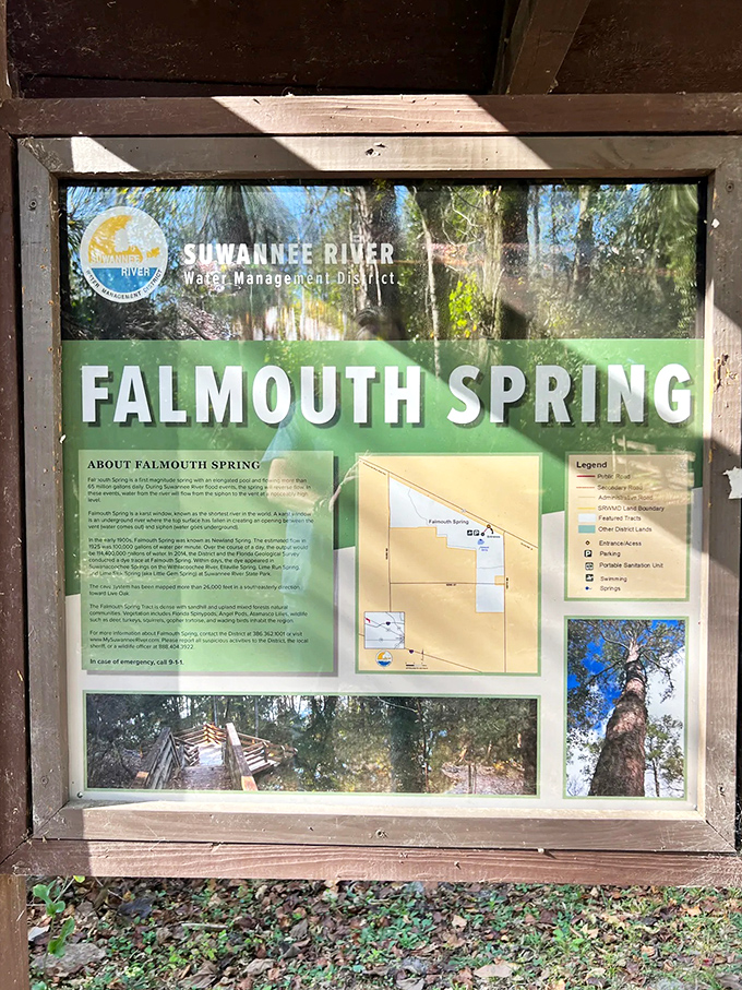 This information board reveals the science behind the magic, explaining how Florida's underground plumbing created this natural wonder.