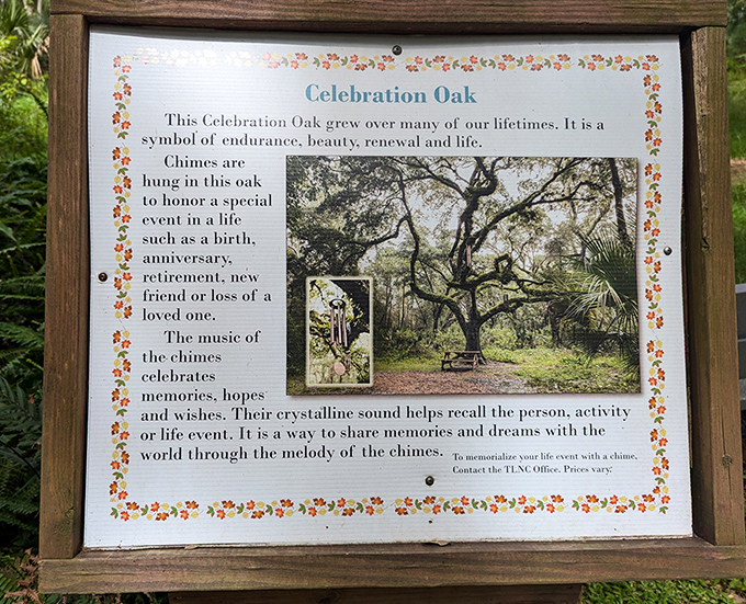 The Celebration Oak's commemorative sign explains the wind chimes tradition, where personal milestones become part of the preserve's living history.