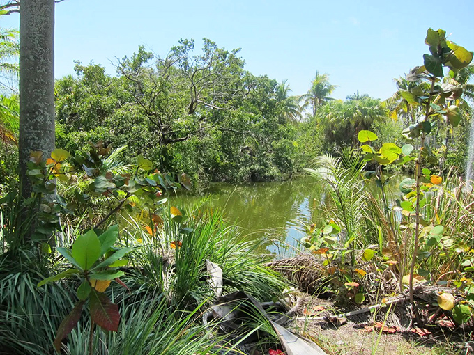 The peaceful lake view offers no hint of the area's bustling past as one of Miami's premier attractions, where thousands once gathered to view exotic wildlife.