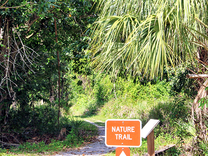 Orange signage points the way to natural wonders &ndash; follow this path to discover Florida as the Koreshans never imagined it.