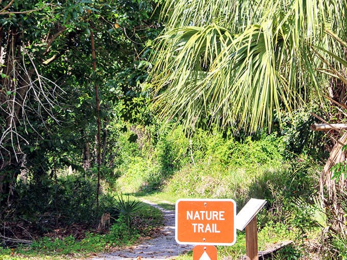Nature reclaims its territory along this inviting trail, where adventure awaits just beyond the next bend.