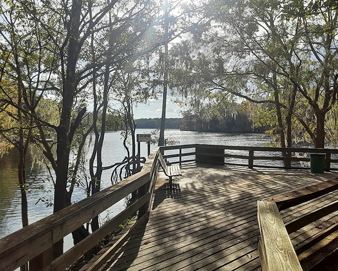 Observation deck where even the most dedicated phone-checkers forget about their screens for a moment.