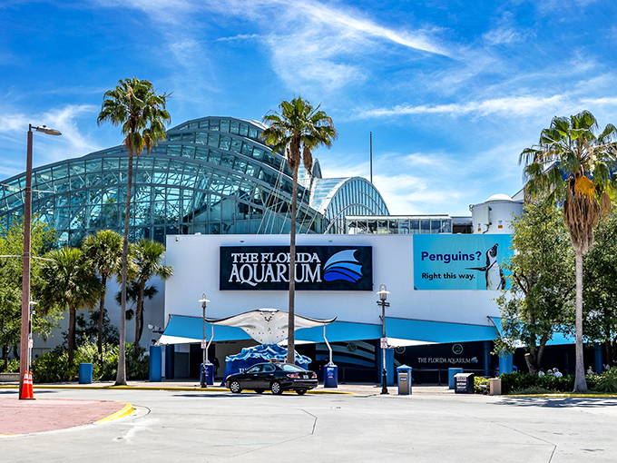 The aquarium's exterior beckons with promises of underwater adventures &ndash; and yes, there are penguins, because who doesn't love penguins?