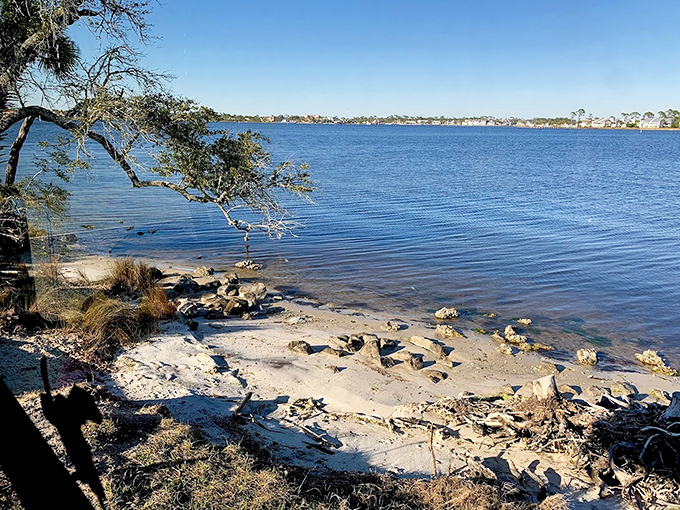 Rocky shores meet gentle waters at the bay's edge, creating peaceful pockets where herons hunt and visitors find quiet moments away from the crowd.