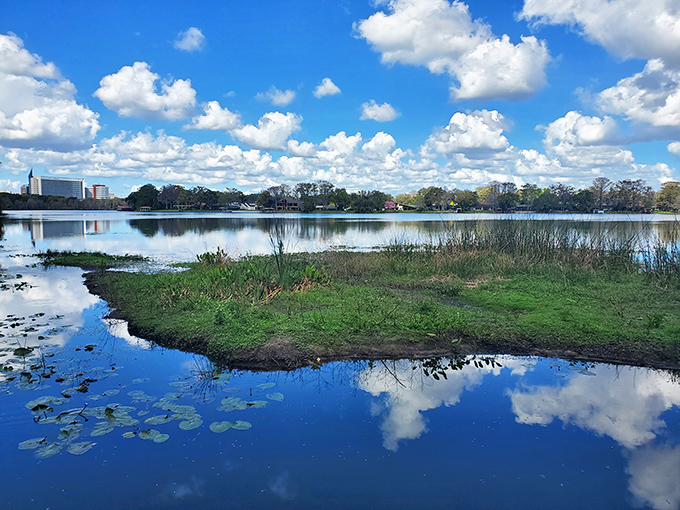 The lake's edge blurs the boundary between land and water, creating a dreamscape where clouds swim and fish fly.